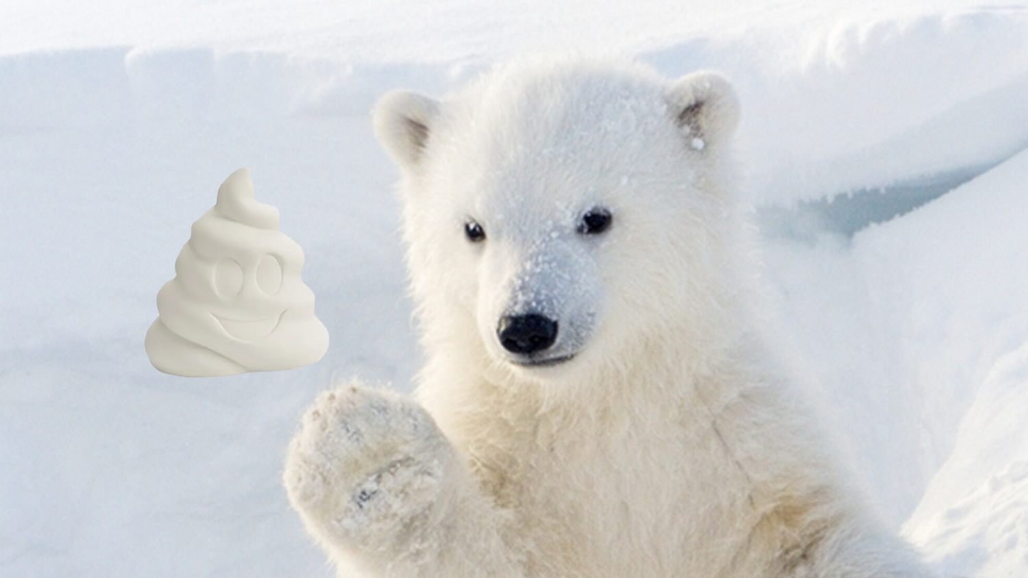 The Mysterious Case of White Poop: Delving into the Secrets, Causes, a ...